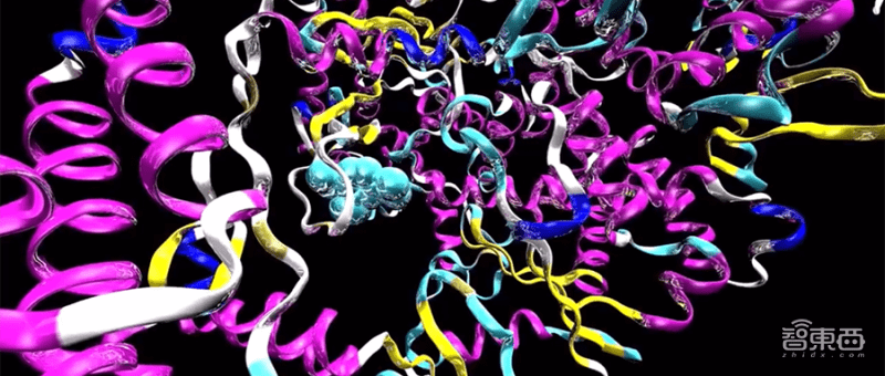 英伟达推出大模型云服务！为生物学研究打开AI加速之门_BioNeMo_数据_分子