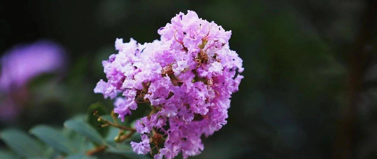 夜读：除了自己，我不讨好任何人_qq_com_weixin