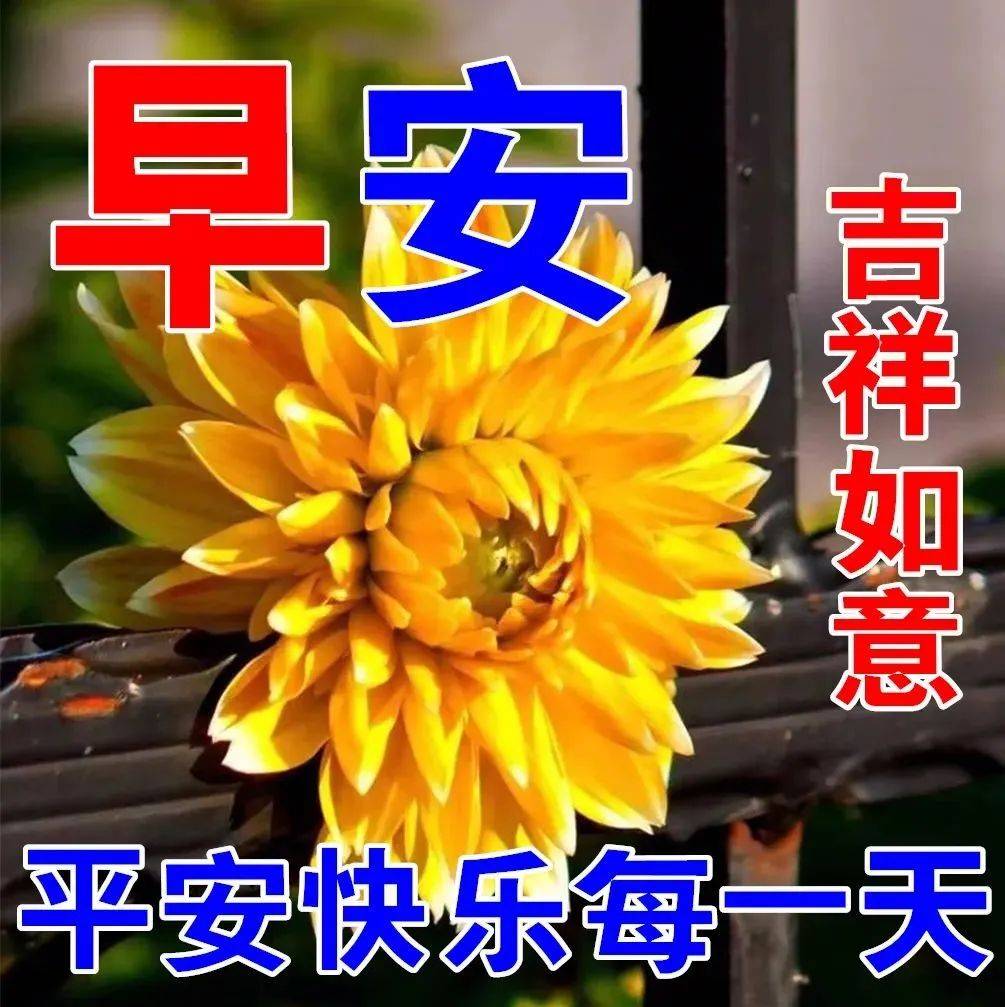 2022最新早上好表情包，天天好心情，平安快乐每一天！_时光_生活_云里