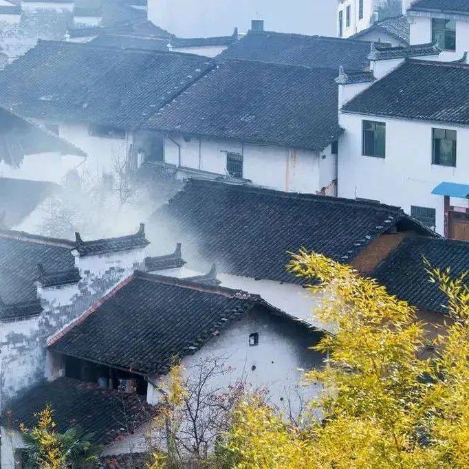 下半年最清醒的20句话,值得细细品味!生活人生东西
