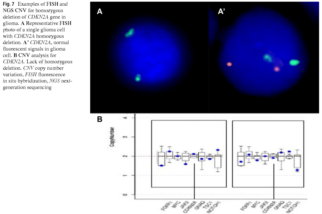 2021 WHO分类建议胶质瘤患者检测分子变异，NGS vs IHC怎么选？_进行了_样本_方法