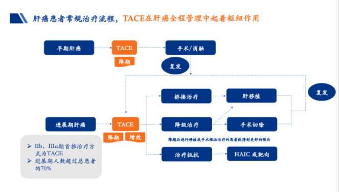 介入科医疗器械临床试验介绍1-TACE栓塞微球_治疗_化疗_肿瘤