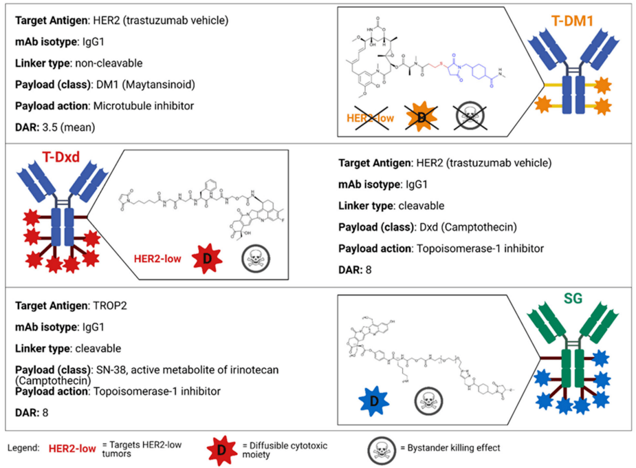 乳腺癌治疗领域的ADC_研究_患者_药物