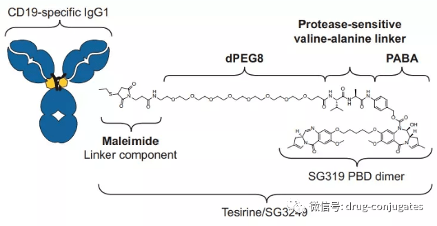 FDA已批准的ADC药物专利深度分析_linker_抗体_卡奇