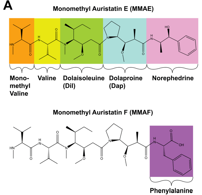 追随成功经验，从已批准的14款ADC看最成功、成药性最高的Payload与Linker_linker_药物_专利