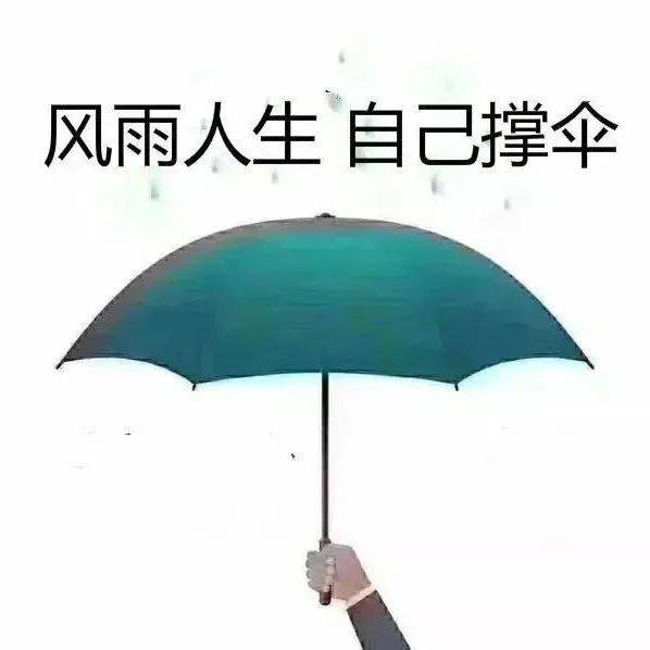 自己选择的路,跪着也要走完自由经历学业