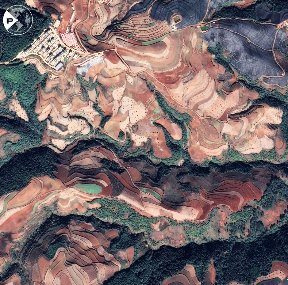 世界粮食日丨岁稔年丰！遥感卫星视角“瞰”多彩农田_全国_收获_江苏