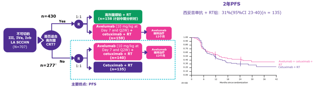 从“头”出发，笃行致远：聚焦局部晚期头颈部鳞癌的治疗及探索_放疗_患者_恶性肿瘤