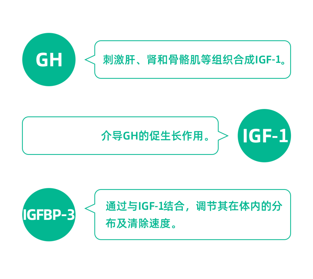 生长发育只看生长激素？另外两个指标同意了吗？_影响_检测_诊断