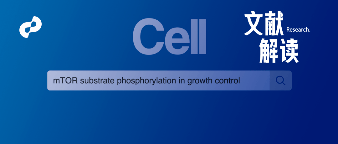 医瑞贝生物｜CELL：生长控制中的mTOR底物磷酸化_研究_复合物_蛋白