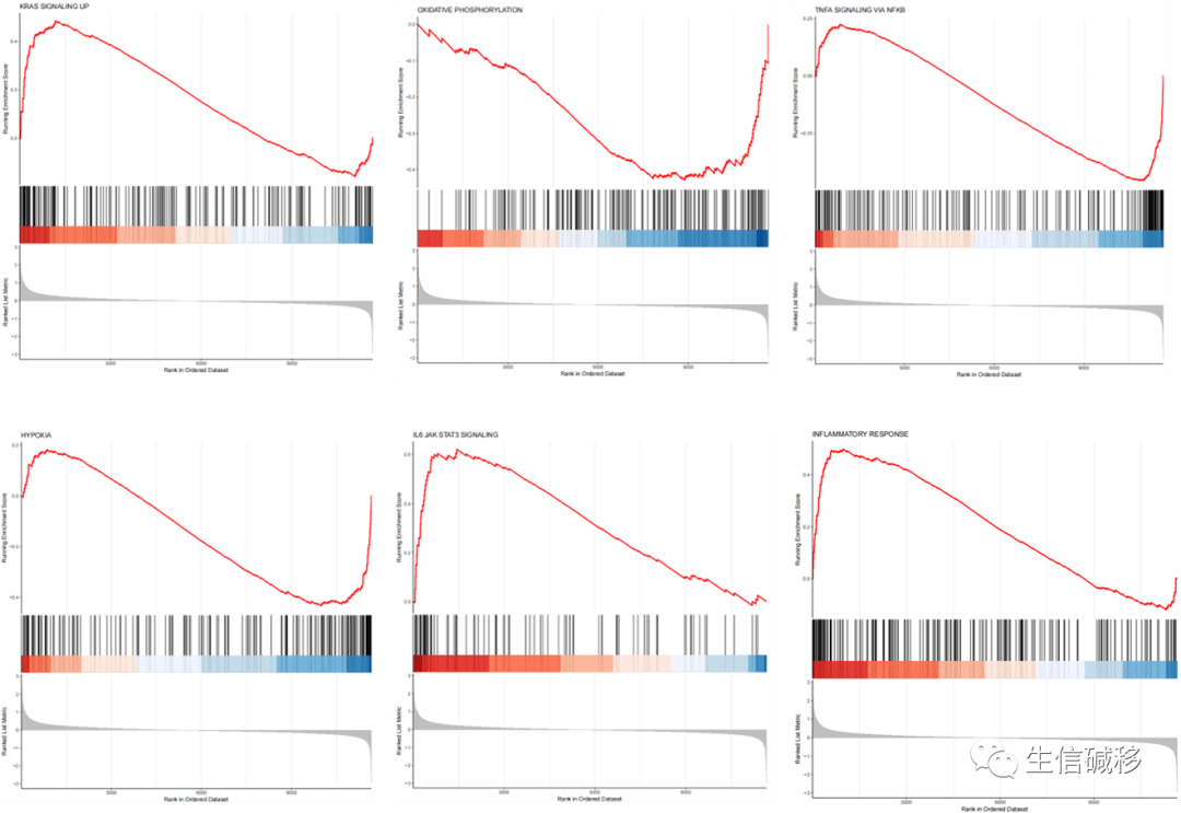 自定义你的WGCNA基因集功能表型，ssgsea分析+WGCNA分析全代码分享_样本_矩阵_文件
