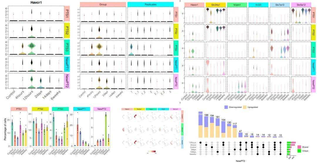 加上这个R包！让你的单细胞文章更高级！_pbmc_mt_数据