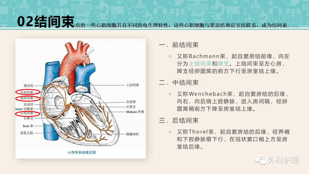 【ppt】这样解读心电图，学不会都难护理微信直播 