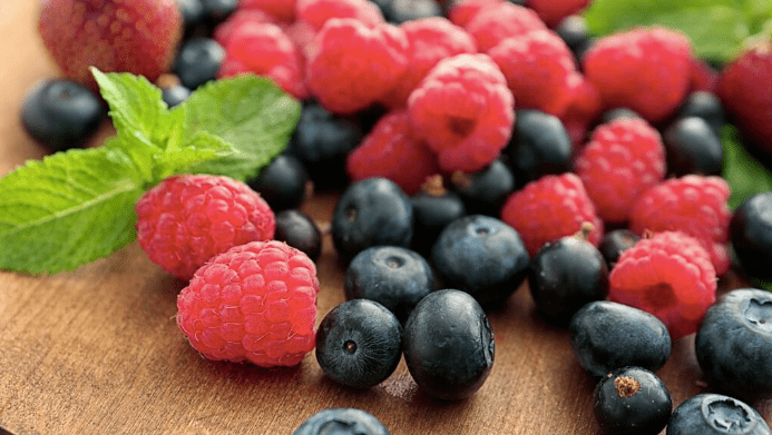 Agroberries to expand blueberry operations into Morocco_is_The_of