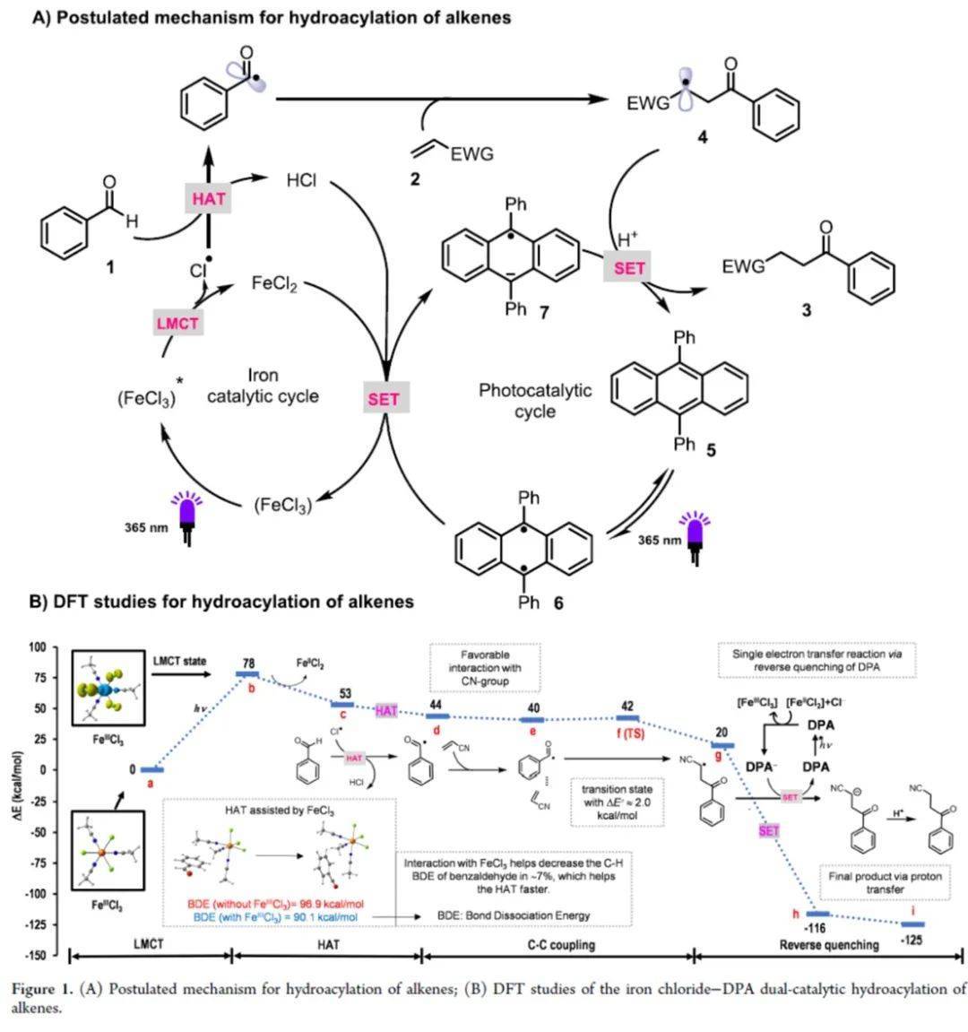 德国雷根斯堡大学Oliver Reiser组：双重光催化策略实现烯烃与醛的氢酰化反应_Catal_FeCl