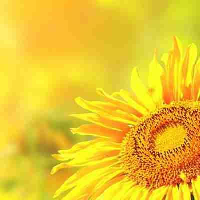 酷学无界：英语作文只会用first, second, finally?_过渡_begin_However