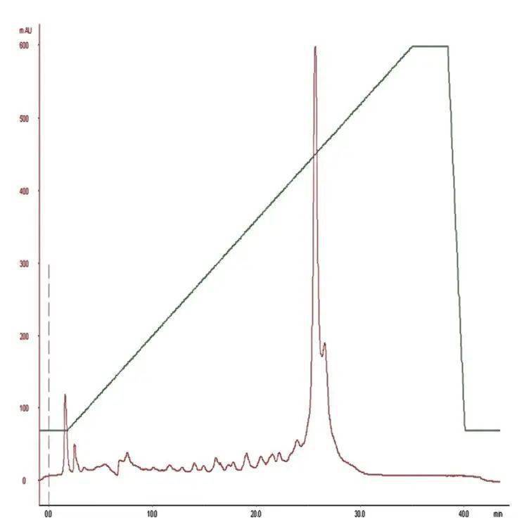 纯化宝典：Source 15Q在寡核苷酸纯化中的应用_进行_样品_ml