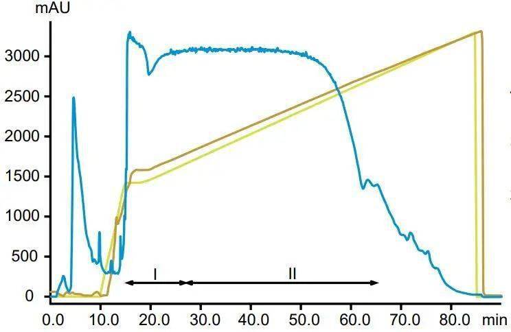纯化宝典：Source 15Q在寡核苷酸纯化中的应用_进行_样品_ml
