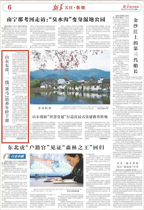 关注！今天《新华每日电讯》点赞东营区！_一线_王文青_群众