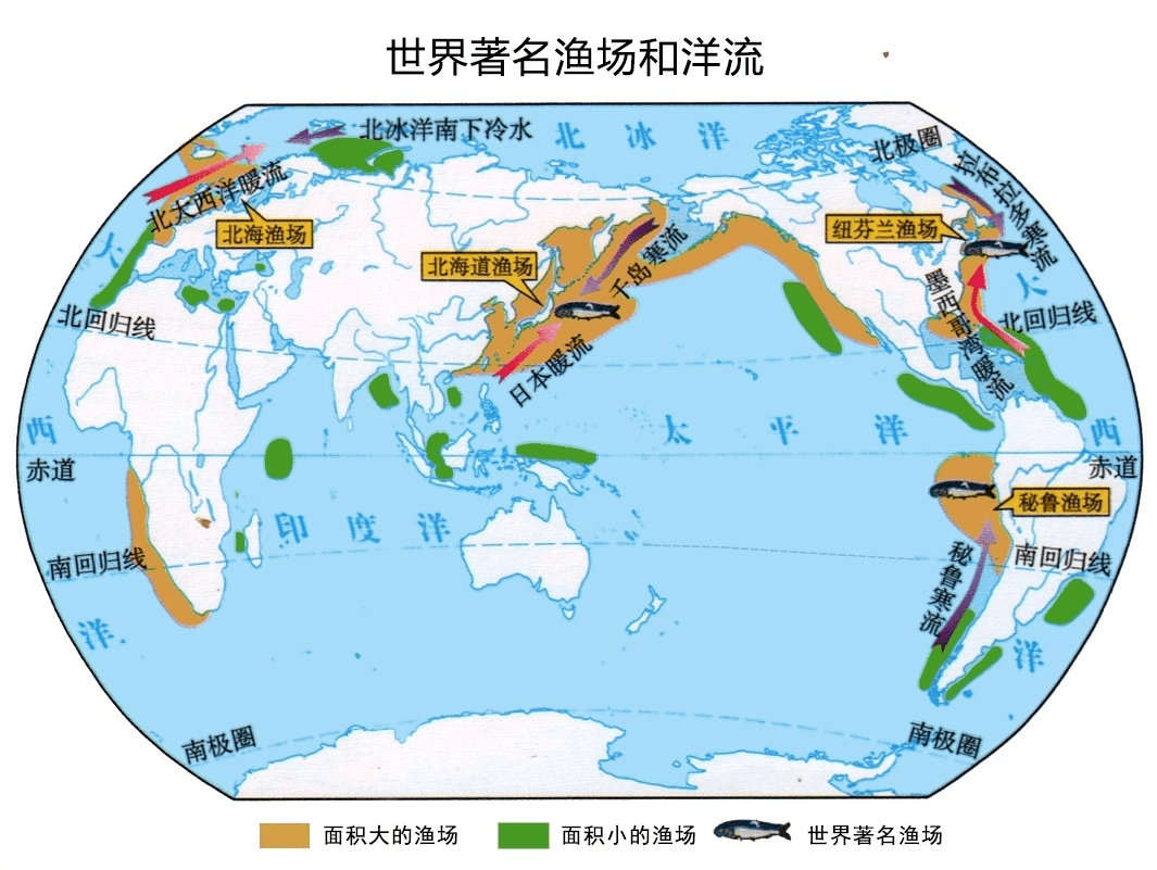 世界洋流分布图分析_暖流_寒流_影响