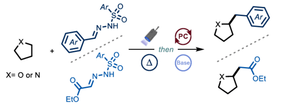 Angew：光催化C(sp3)-H键的烷基化反应_Figure_合成_策略