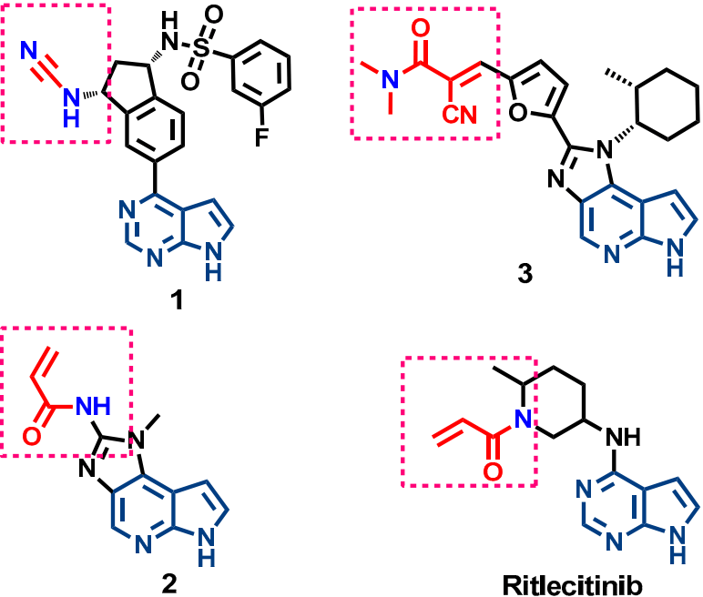 新一代JAK抑制剂将走向何方？_激酶_选择性_的作用