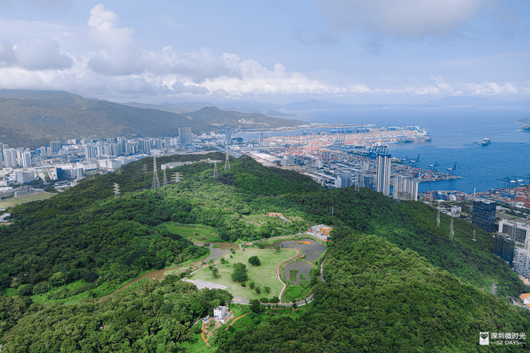 1月9日 | 深圳大事件_信用_公费_专用