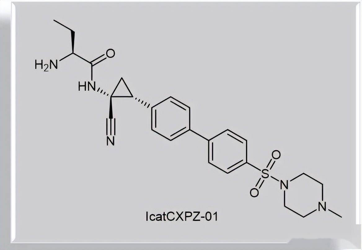 COVID-19药物Paxlovid作用机制是共价抑制_结构_其他_化学