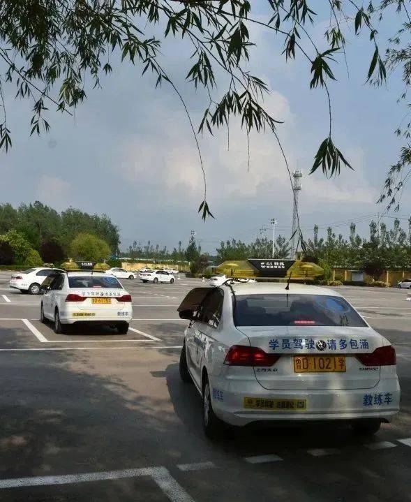 中通驾校丨拿完驾照不敢开车上路，应该怎样克服开车 恐惧症”？搜狐汽车搜狐网