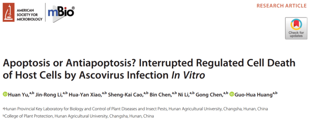 mBio | 凋亡还是抗凋亡？囊泡病毒离体感染后对宿主细胞调控性死亡的干预与利用_SeCasp-_研究_处理
