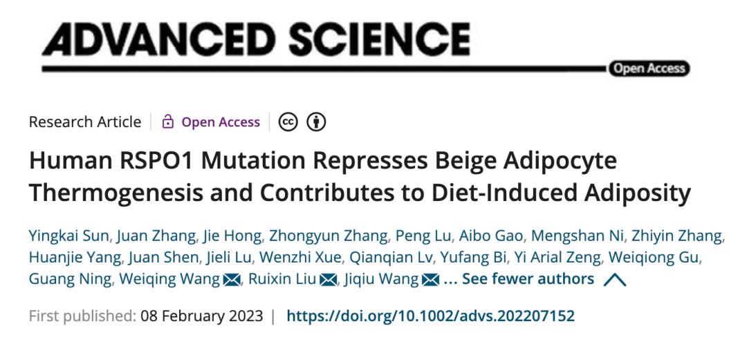 Adv Sci | 王计秋/刘瑞欣/王卫庆团队发现RSPO1基因突变通过降低能量消耗促进肥胖发生_Wnt_et_细胞