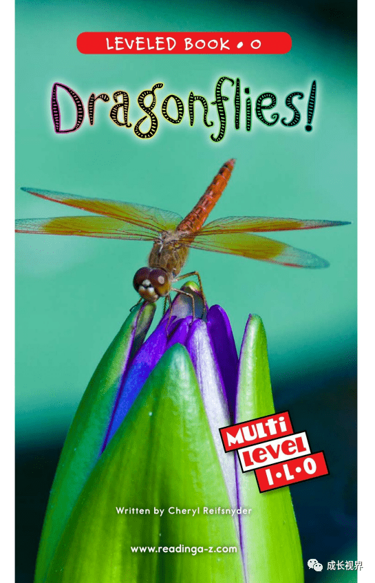 【RAZ-O-16】Dragonflies!