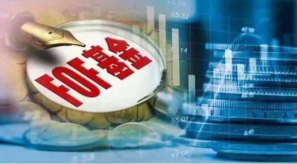 FOF潮流乍现！"基金买手"增配ETF，小众赛道受欢迎_配置_产品_风格