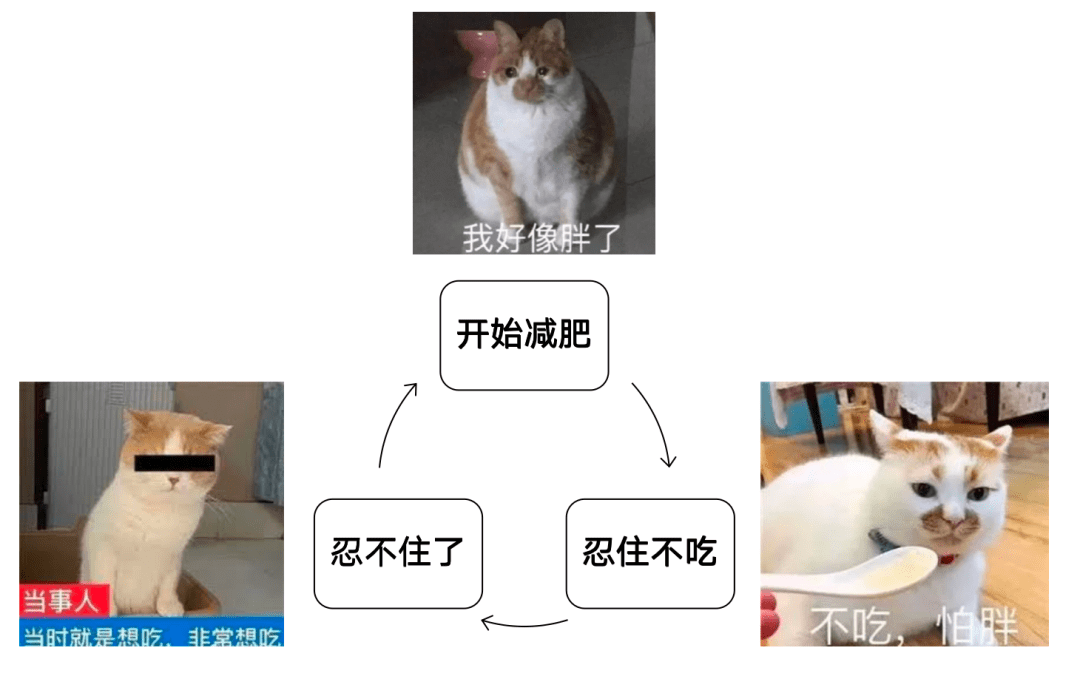 3 件事骗了你的大脑，让你总想吃东西自制力来源压力