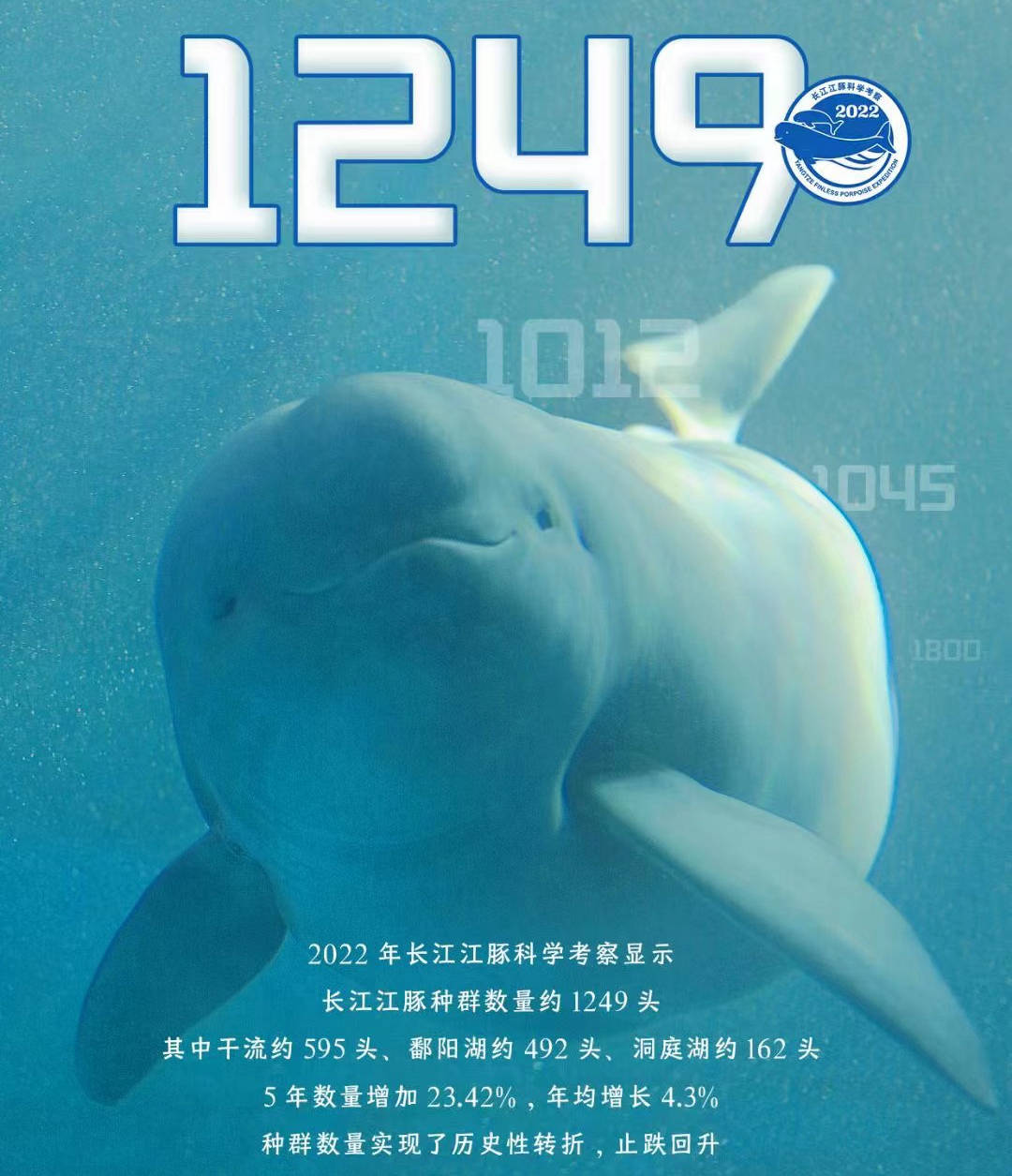 1249，历史性转折！长江江豚数量止跌回升_物种_濒危_生物