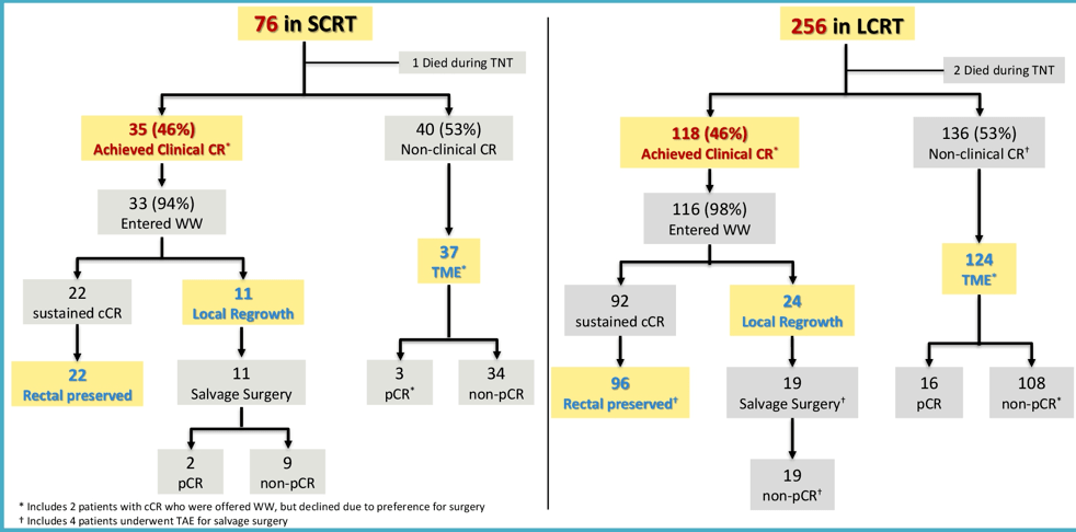 ASCO GI 重磅研究 | 直肠癌全新辅助治疗的长短放疗之争_患者_器官_癌症