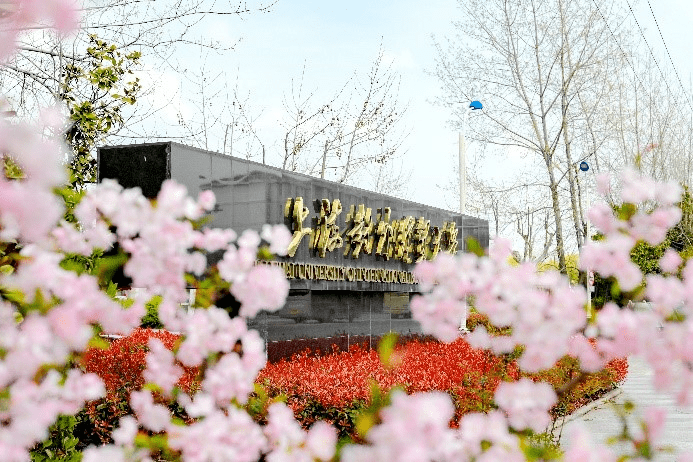 上海对外经贸大学2023年MPAcc(非全)调剂意愿征询信息登记的通知_意向_能力_专业