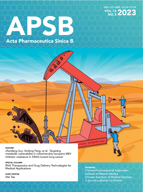 【APSB封面文章】克服KRAS突变肺癌耐受MEK抑制剂的新策略：切断线粒体产能，让耐药细胞走投无路_研究_肿瘤_Sinica