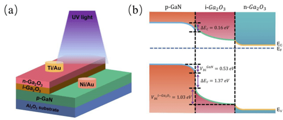厦门大学程其进/张洪良课题组AOM：通过具有全耗尽有源区的Ga2O3/GaN pin异质结实现快速响应的自供电日盲紫外光电探测器_研究_i-Ga_器件