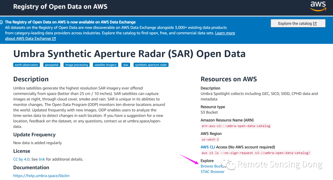 Umbra 开放高分辨率SAR数据样例_天地_com_平台