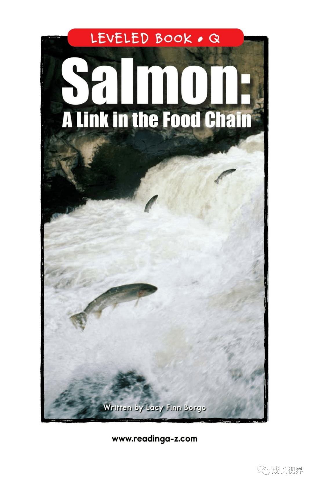 【RAZ-Q-50】Salmon:A Link in the Food Chain