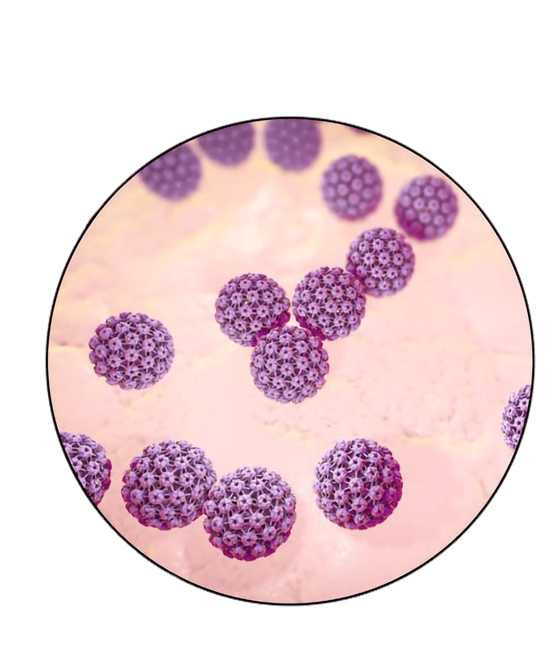 不想被感染HPV，这几点千万不能做 ！_病毒_筛查_进行