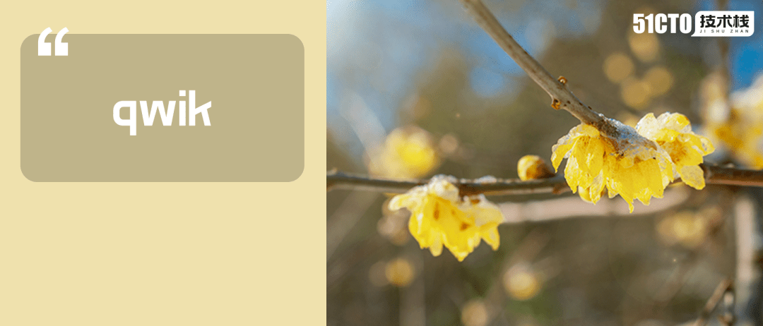 干货 | 新时代的 SSR 框架破局者：qwik_页面_进行_脚本