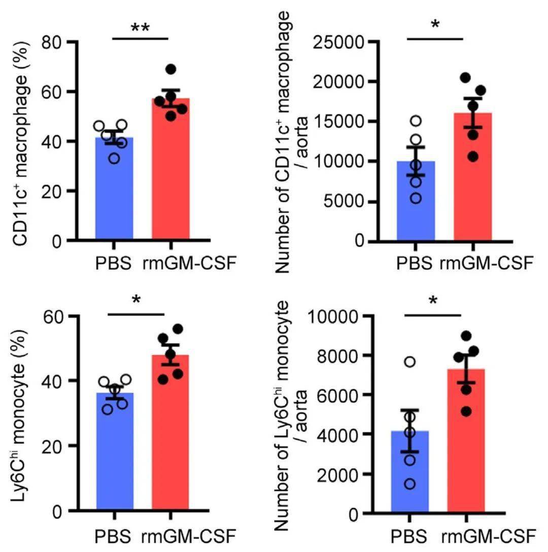GM-CSF作用的几类免疫细胞_炎症_诱导_组织
