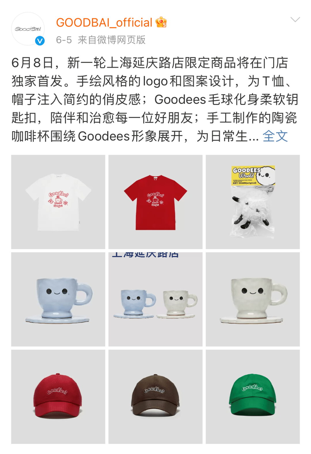 白敬亭GOODBAI首家门店落地上海，明星加持潮牌能否迎来新机遇？ | 案例精选_品牌_Goodees_消费者