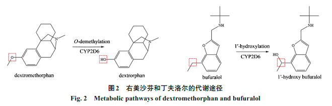 CYP2D表达与功能调控及其在药物和内源性物质处置中的作用_代谢_Cyp_家族