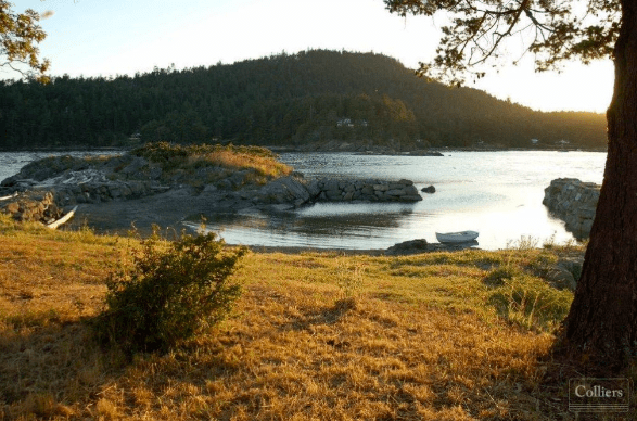 梦幻！加拿大整座私人小岛出售，叫价不到$230万，可建房带沙滩_岛屿_Island_Fane