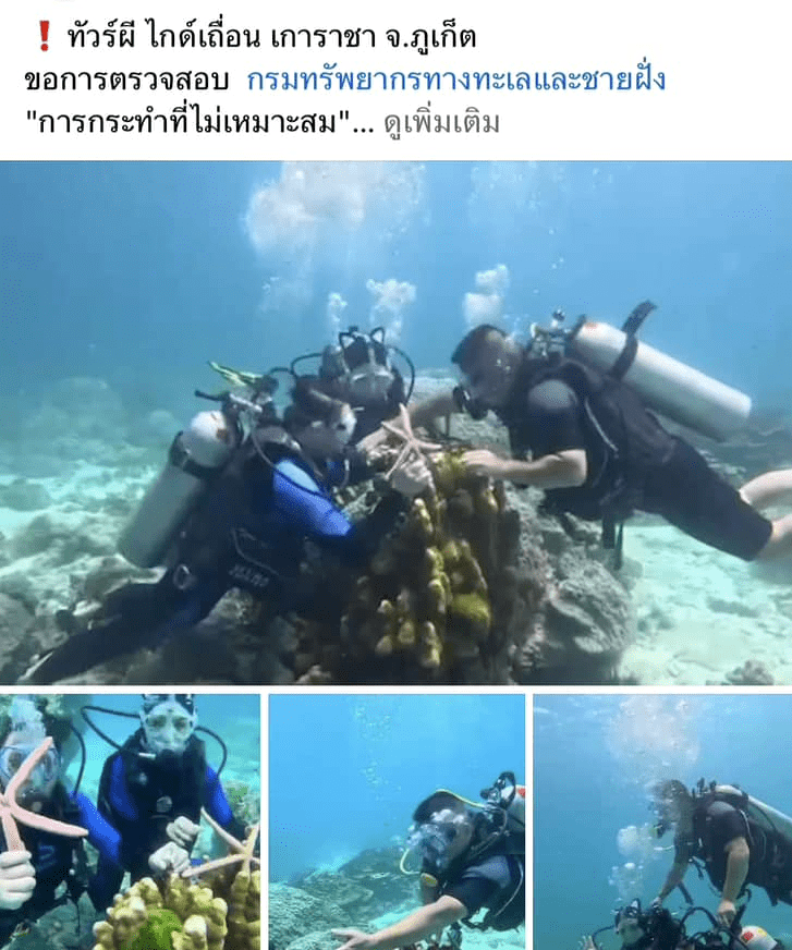 太惨了,多名中国游客去趟泰国恐面临2年牢狱之灾 进行 李烈音 调查
