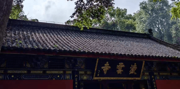 命好的人,往往有这种特征个人抓住机会生活