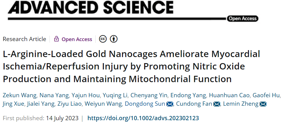 Advanced Science丨郑乐民/范存东/孙东东制备金纳米笼改善心肌缺血/再灌注损伤_研究_治疗_线粒体